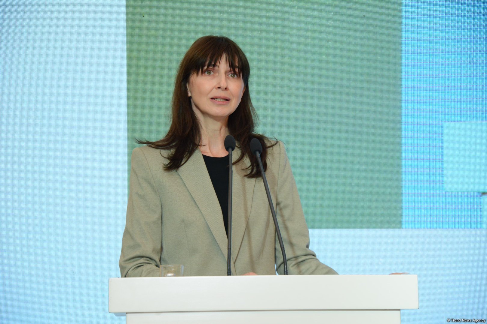 Baku Climate Action Week stands as crucial event ahead of COP29 - UN ...