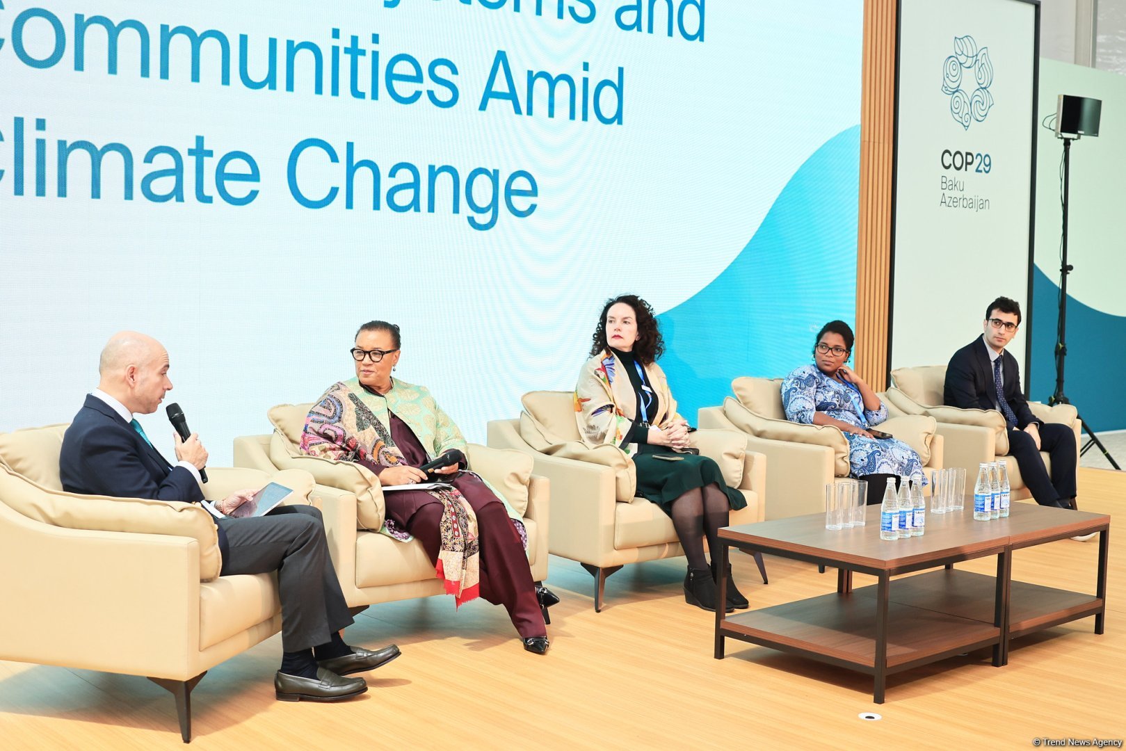 COP29 Green Zone hosts session on SIDS’ Ecosystems and Communities Amid Climate Change (PHOTO ...