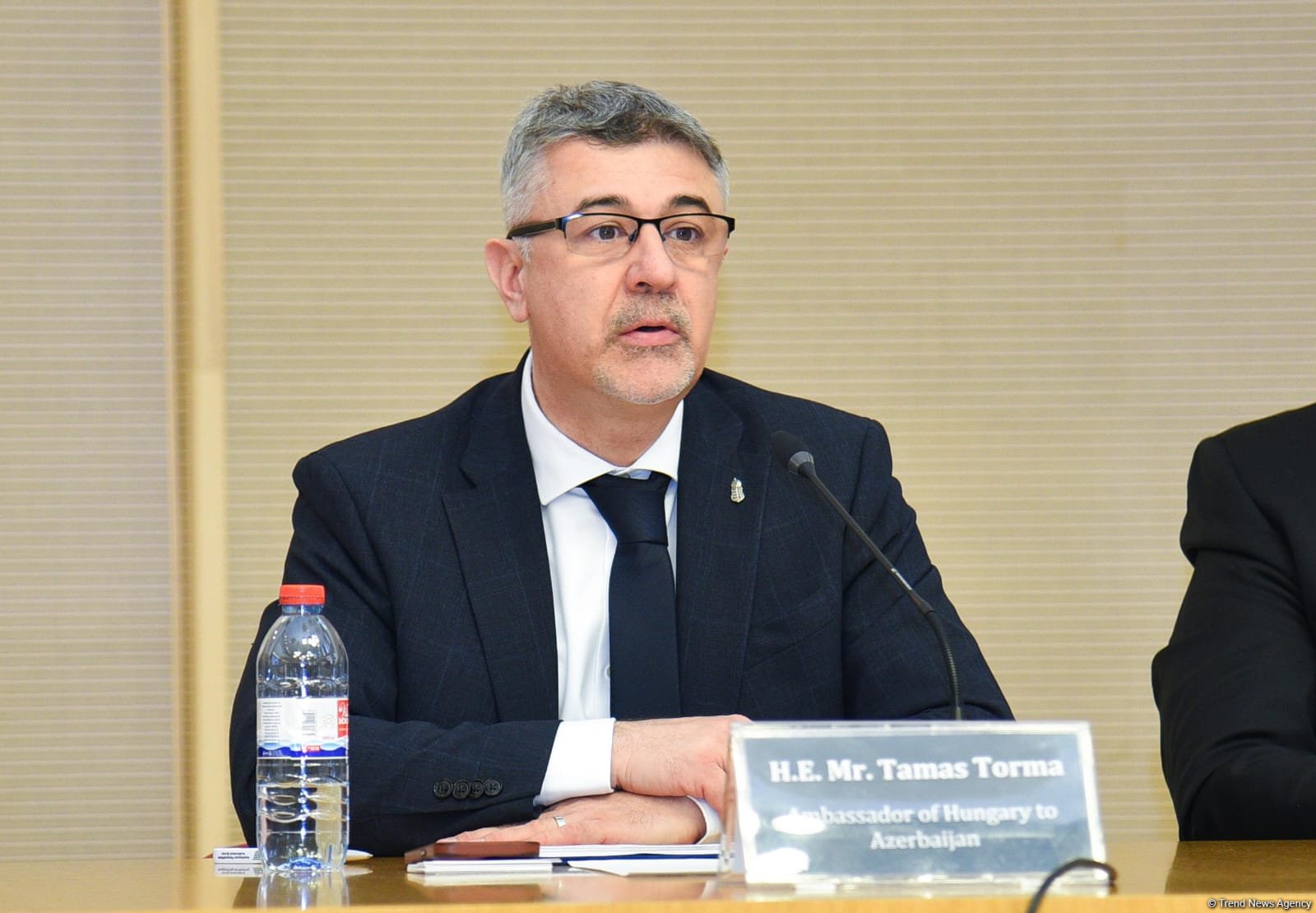 Посол Венгрии о роли Азербайджана в обеспечении энергетической ...